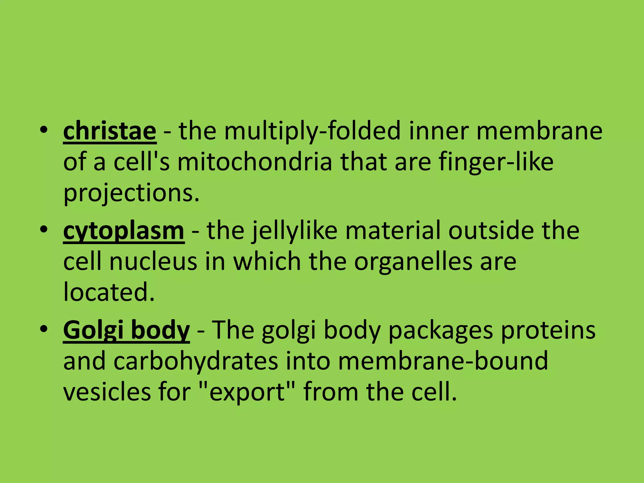Understanding the prokaryote, plant and animal cell | PPT