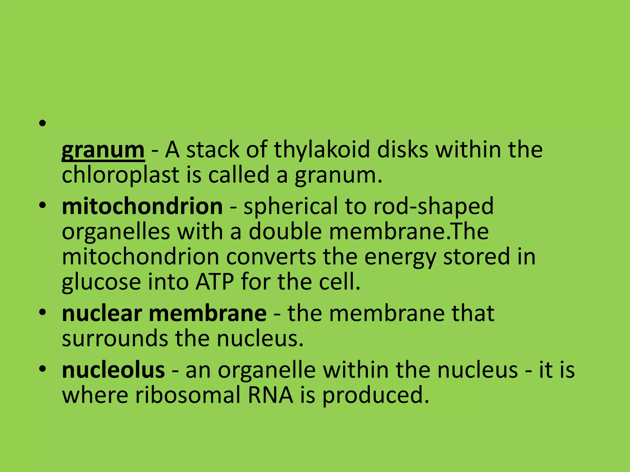 Understanding the prokaryote, plant and animal cell | PPT