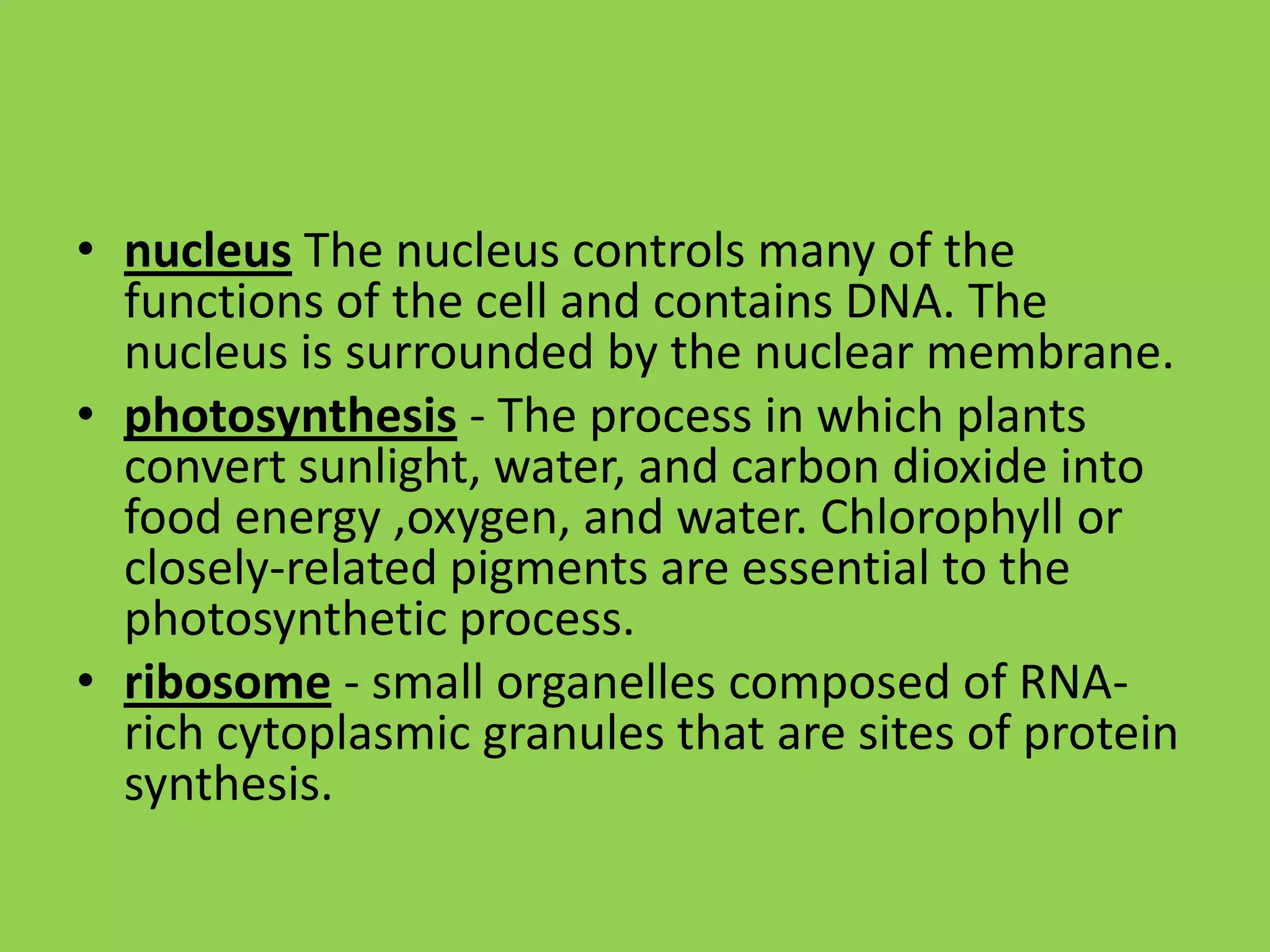 Understanding the prokaryote, plant and animal cell | PPT