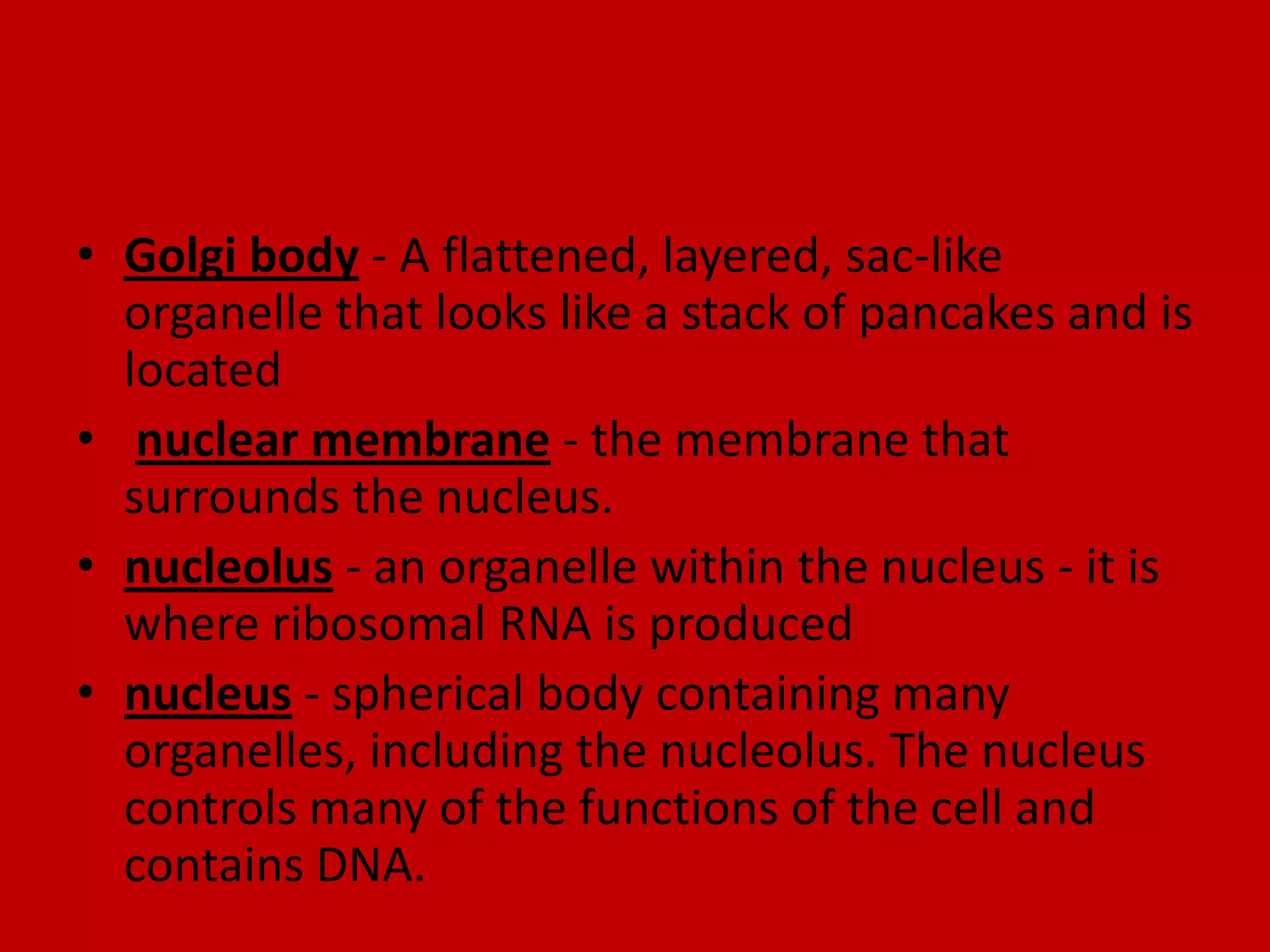 Understanding the prokaryote, plant and animal cell | PPT