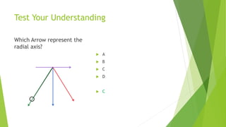 Understanding the radial tangential coordinate system | PPTX
