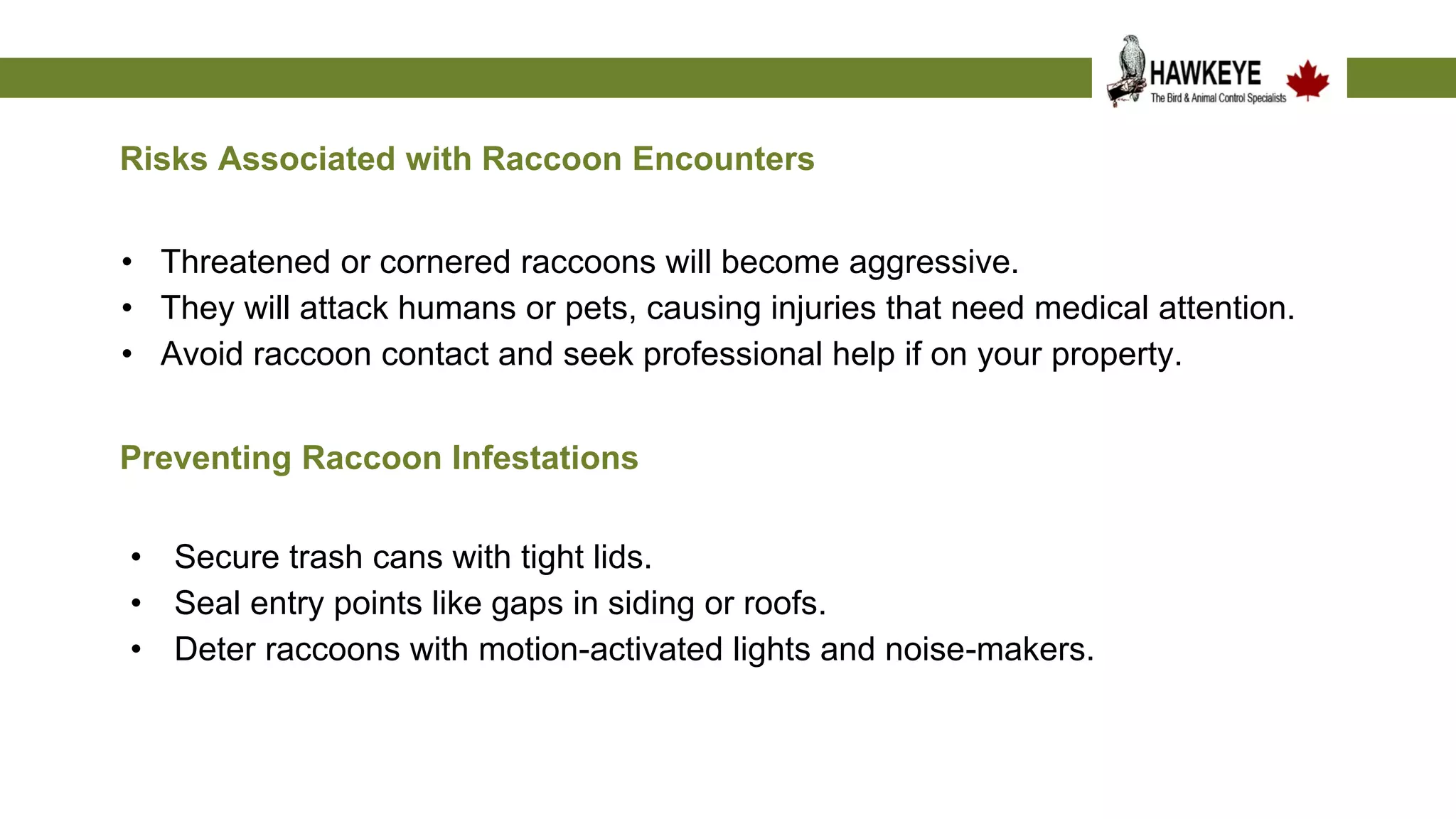 Understanding the Risks Associated with Raccoons.pptx