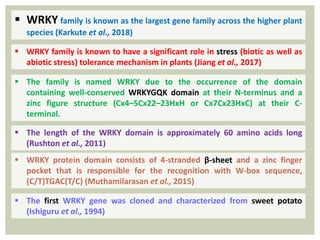 Understanding the role of the wrky gene family under stress in ...
