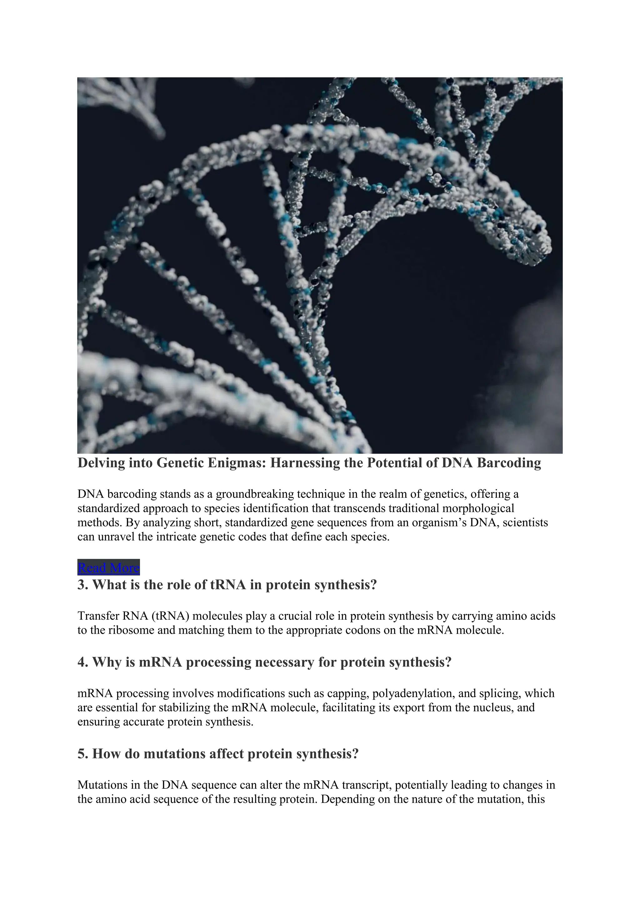 6 Important Steps for Protein Synthesis | The Lifesciences Magazine | PDF