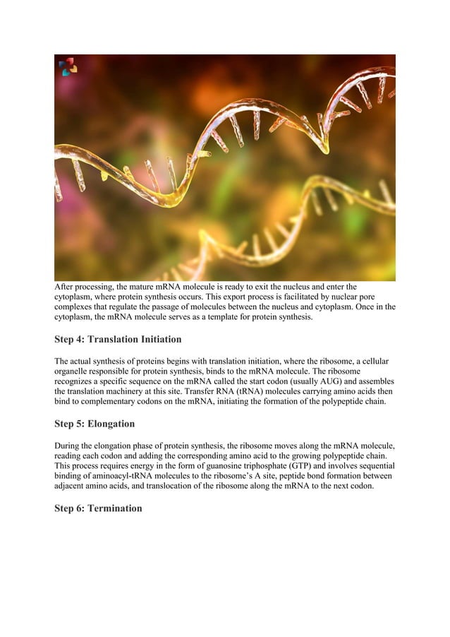 6 Important Steps for Protein Synthesis | The Lifesciences Magazine | PDF