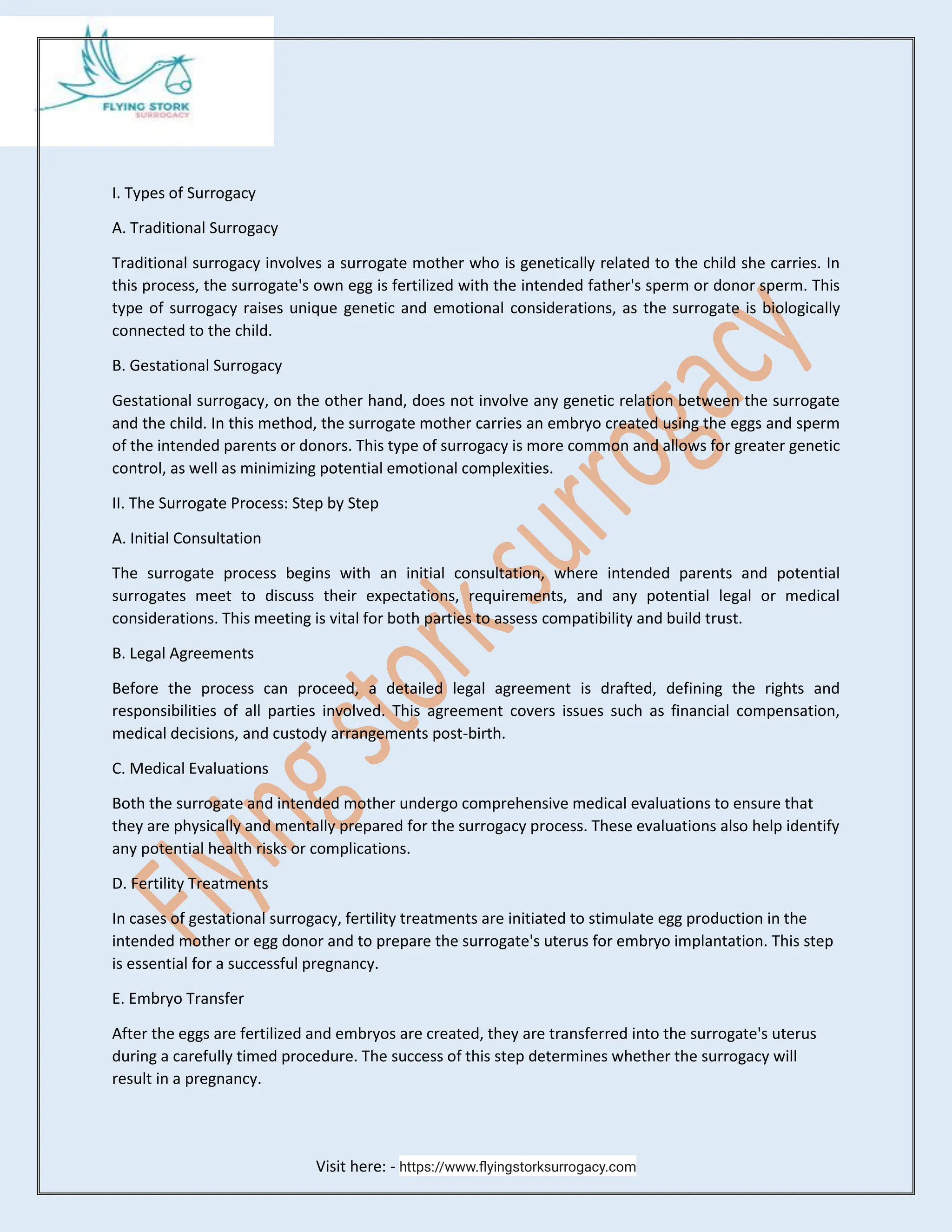 Understanding the Surrogate Process: A Comprehensive Guide | PDF ...