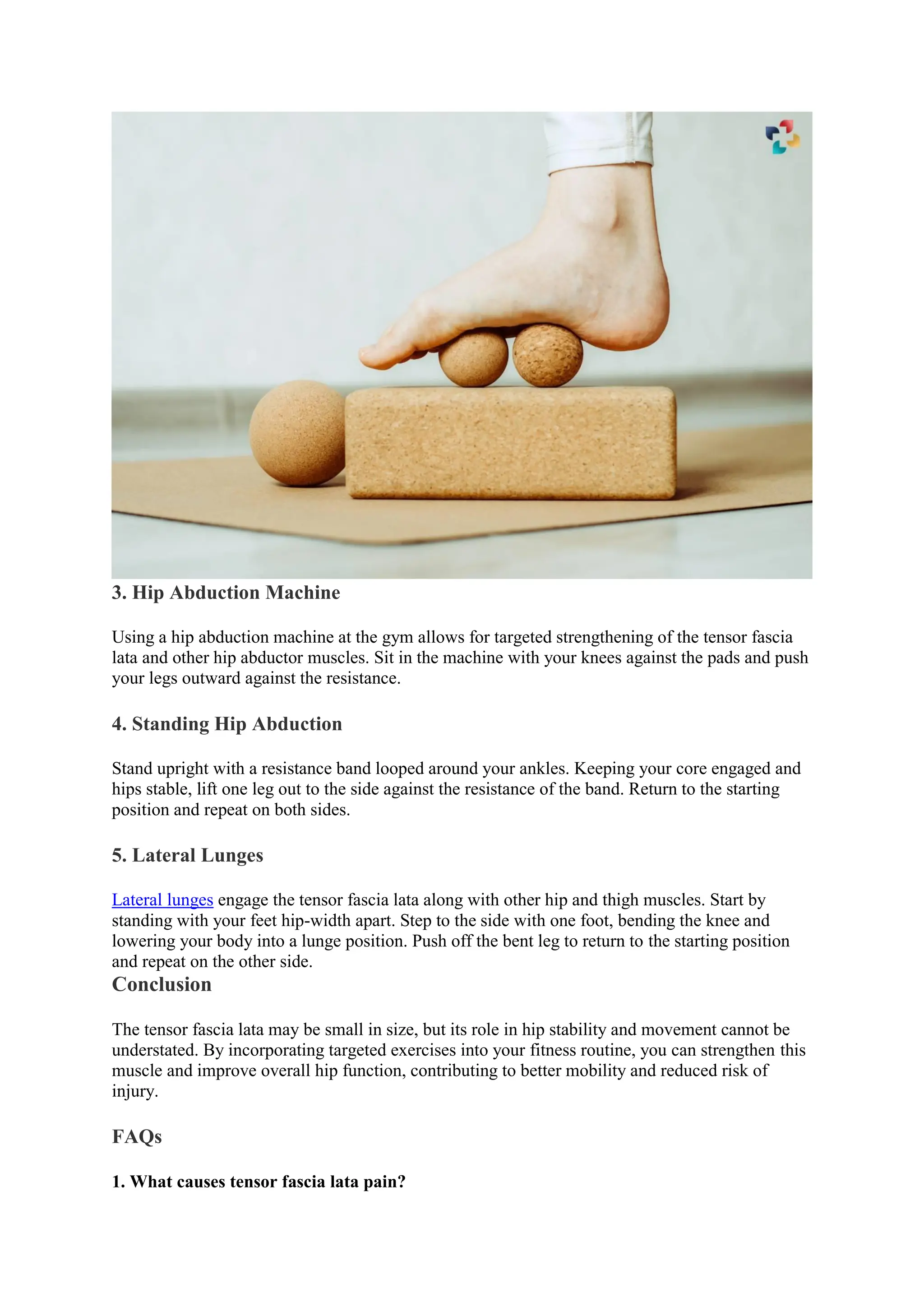 Tensor Fascia Lata Muscle: Anatomy, Function, and Exercises | The ...