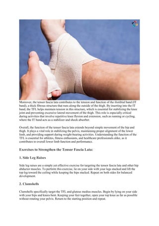 Tensor Fascia Lata Muscle: Anatomy, Function, and Exercises | The ...