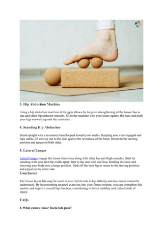 Tensor Fascia Lata Muscle: Anatomy, Function, and Exercises | The ...