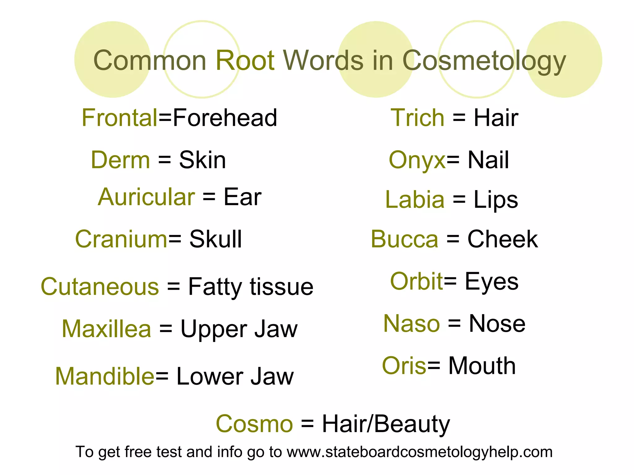 Understanding the terminology of cosmetology | PPT