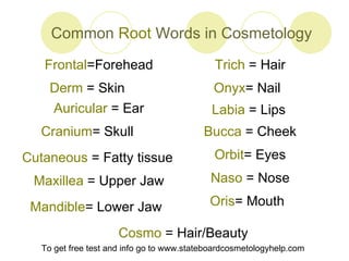 Understanding the terminology of cosmetology | PPT