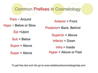 Understanding the terminology of cosmetology | PPT