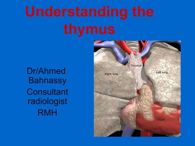 Understanding the thymus | PPT | Thyroid Disorders | Endocrine and ...