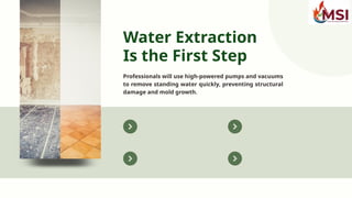 UNDERSTANDING THE WATER RESTORATION PROCESS.pptx