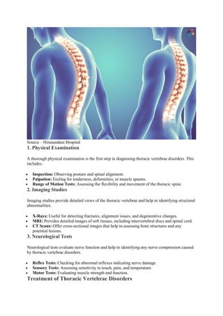 Thoracic Vertebrae: Anatomy, Function, and Common Disorders | The ...