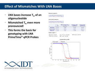 Understanding Melting Temperature (Tm) | PPTX