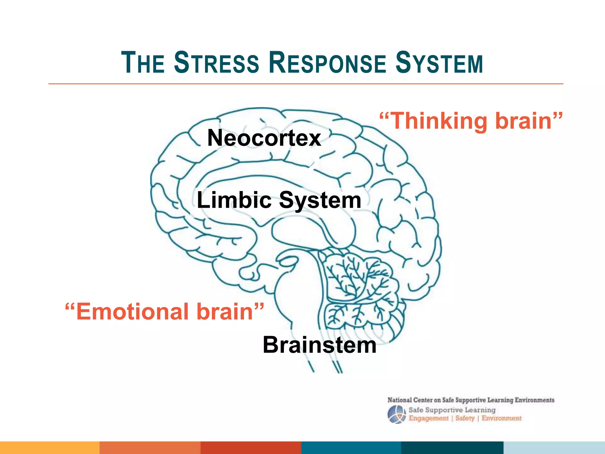Understanding_Trauma_and_Its_Impact_Slide_Presentation.pptx