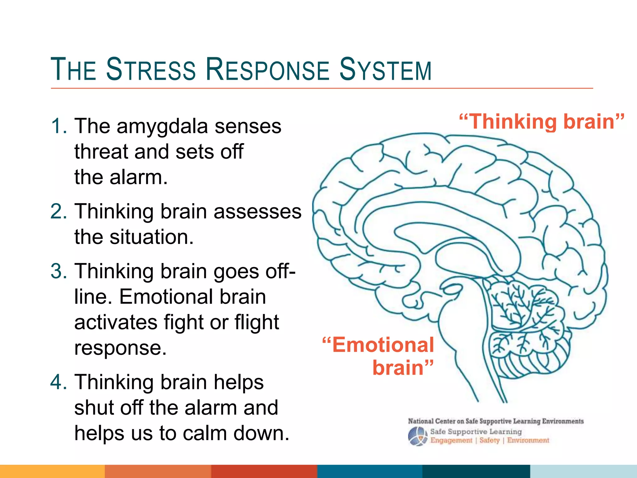 Understanding_Trauma_and_Its_Impact_Slide_Presentation.pptx
