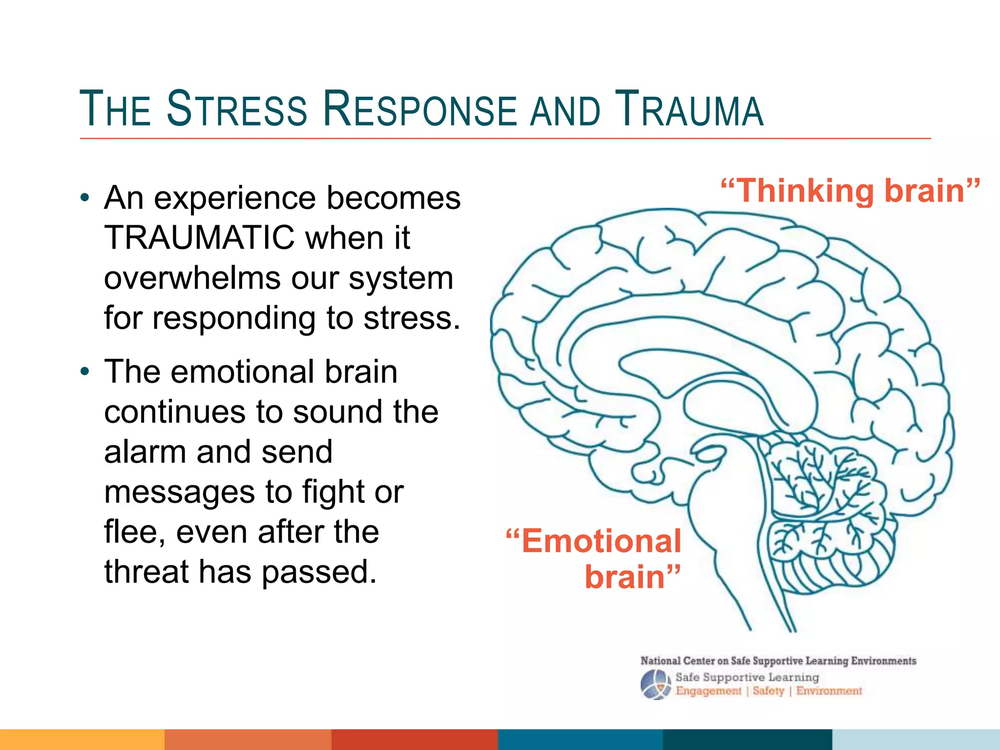 Understanding_Trauma_and_Its_Impact_Slide_Presentation.pptx