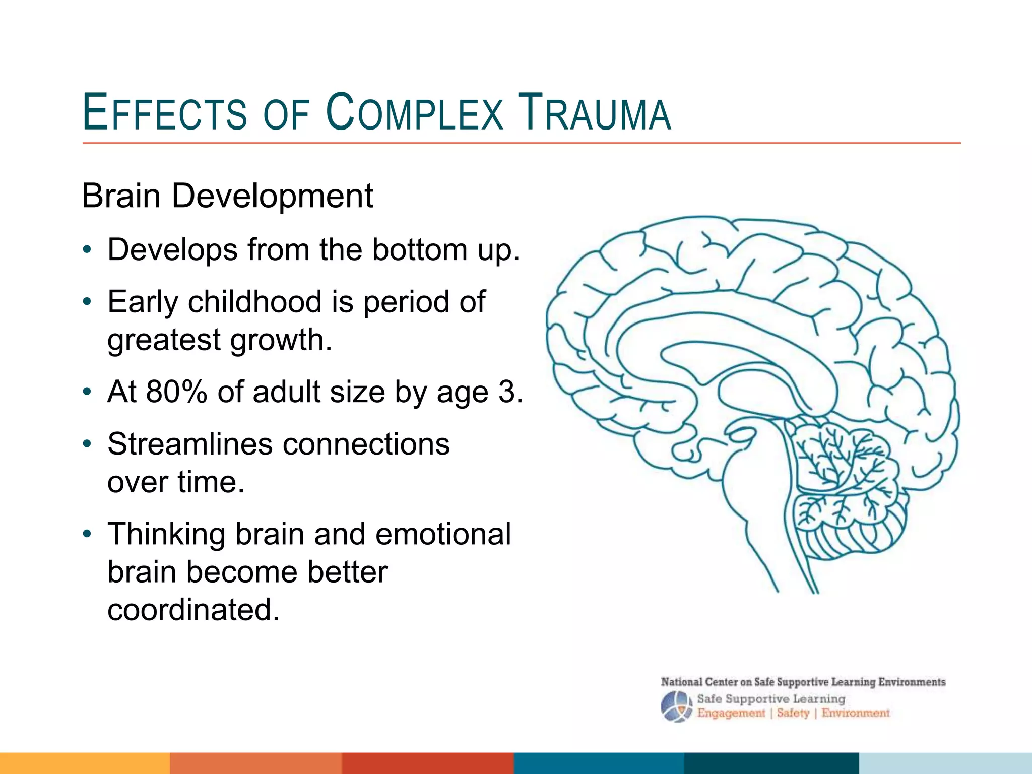 Understanding_Trauma_and_Its_Impact_Slide_Presentation.pptx