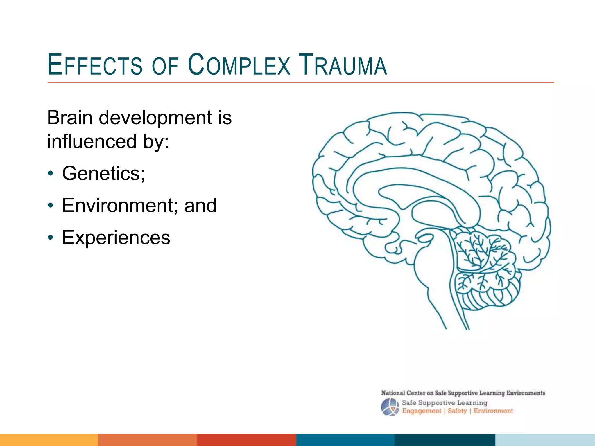 Understanding_Trauma_and_Its_Impact_Slide_Presentation.pptx | Mental ...