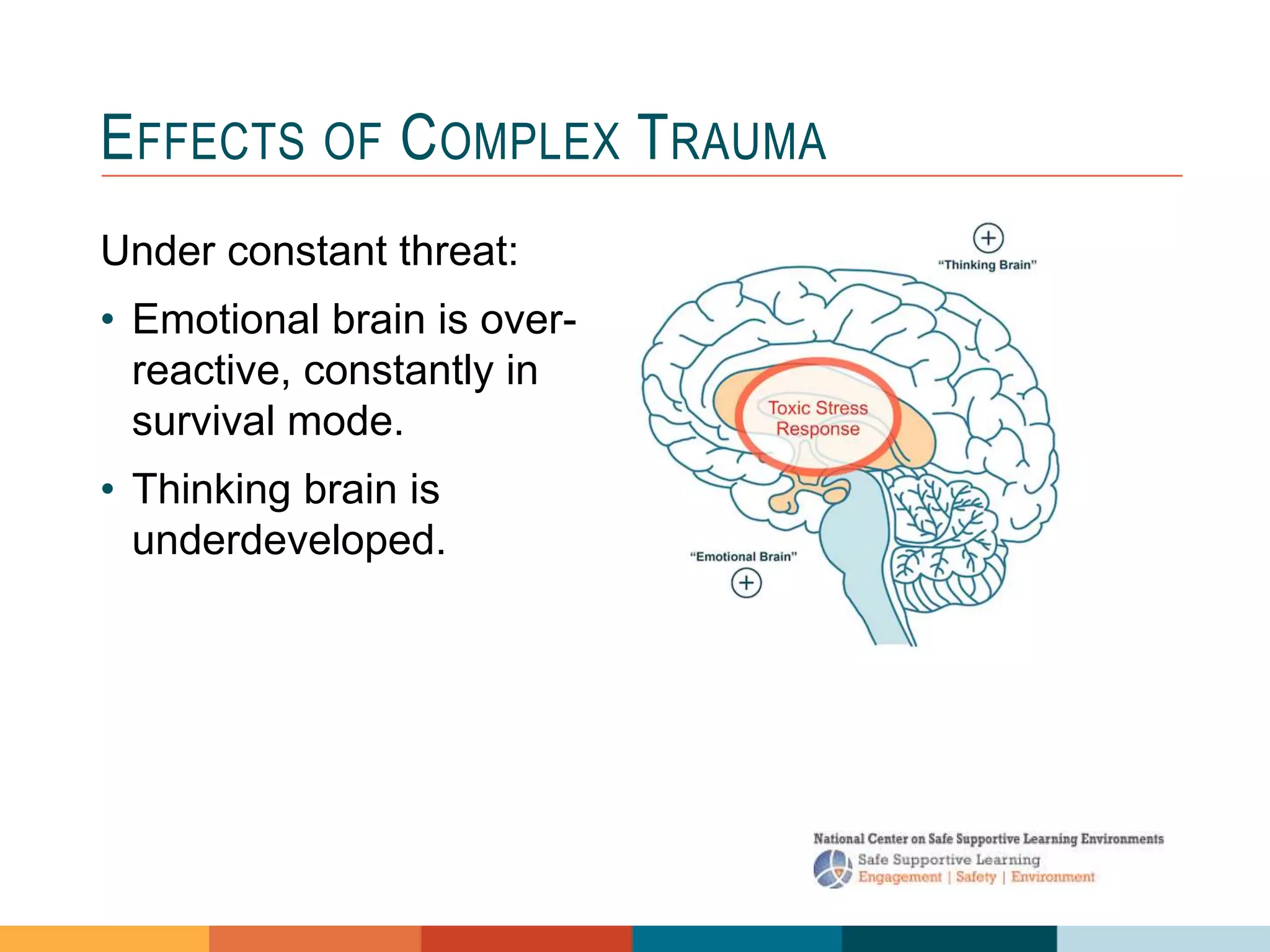 Understanding_Trauma_and_Its_Impact_Slide_Presentation.pptx