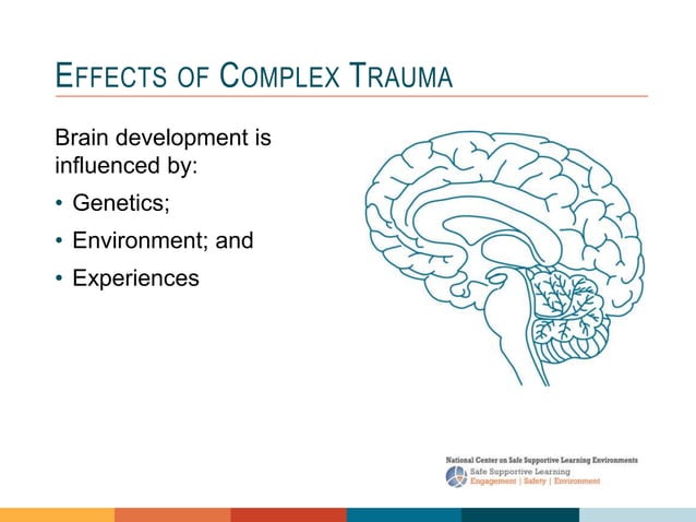 Understanding_Trauma_and_Its_Impact_Slide_Presentation.pptx | Mental ...