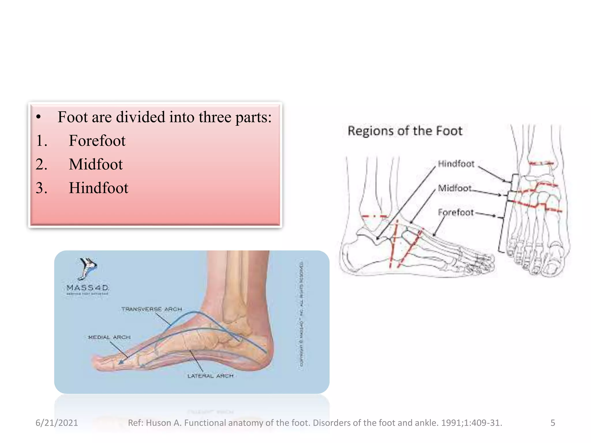 Understanding & treating common foot pathology | PPTX