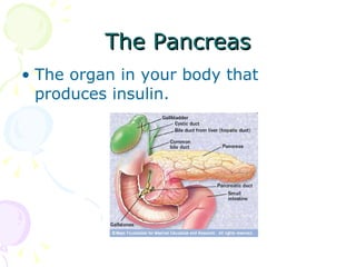 Understanding Type 1 Diabetes | PPT