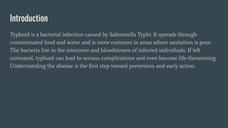 Understanding Typhoid and How to Prevent It in Everyday Life | PDF