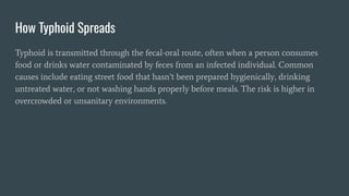Understanding Typhoid and How to Prevent It in Everyday Life | PDF