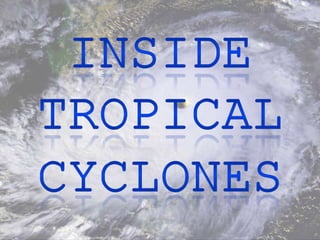 Understanding Typhoon | PPTX