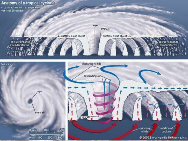 Understanding Typhoon | PPTX | Geography | Science