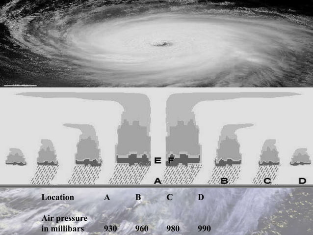 Understanding Typhoon | PPTX | Geography | Science