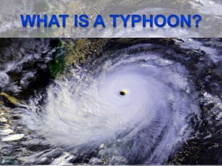 Understanding typhoon | PPTX