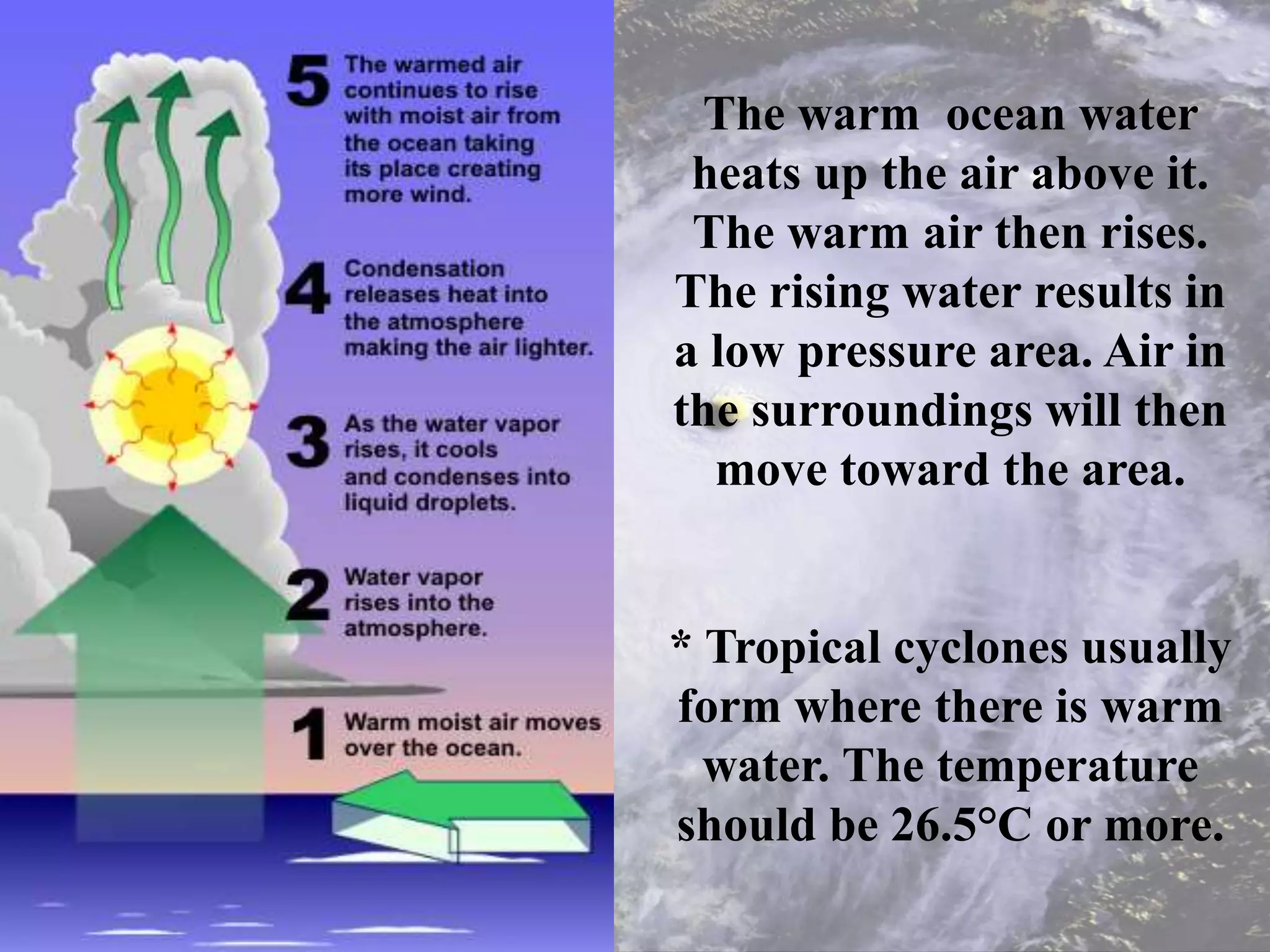 Understanding typhoon | PPTX
