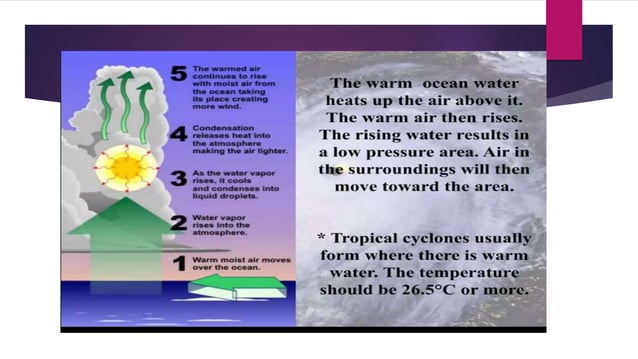 Understanding typhoonstyphoontyphoontyphoon | PPT