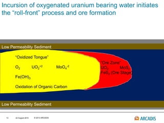 Understanding Uranium Roll-Front Ore Body Formation Aids in Mine ...
