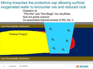 Understanding Uranium Roll-Front Ore Body Formation Aids in Mine ...