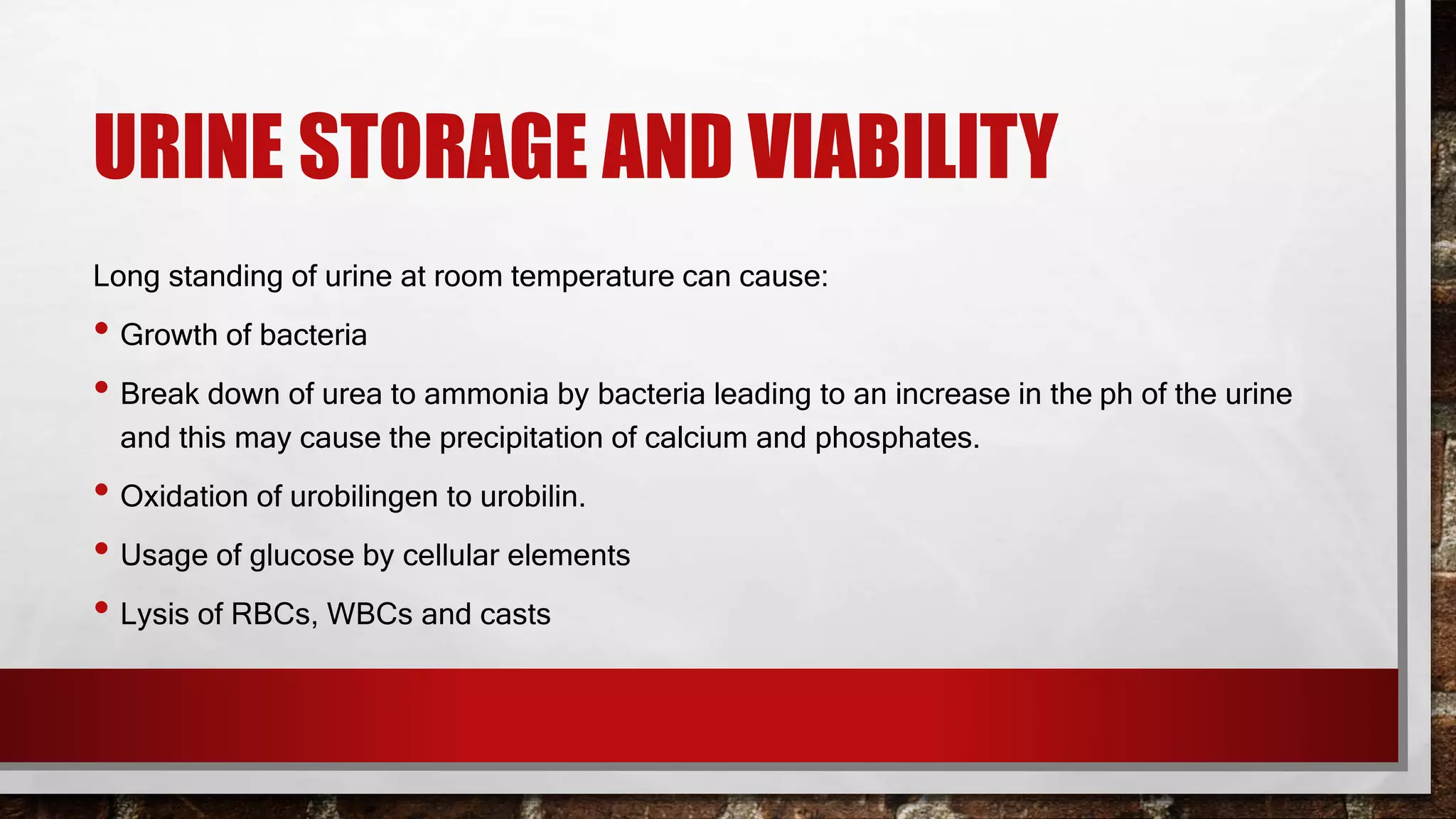 UNDERSTANDING URINALYSIS.pptx