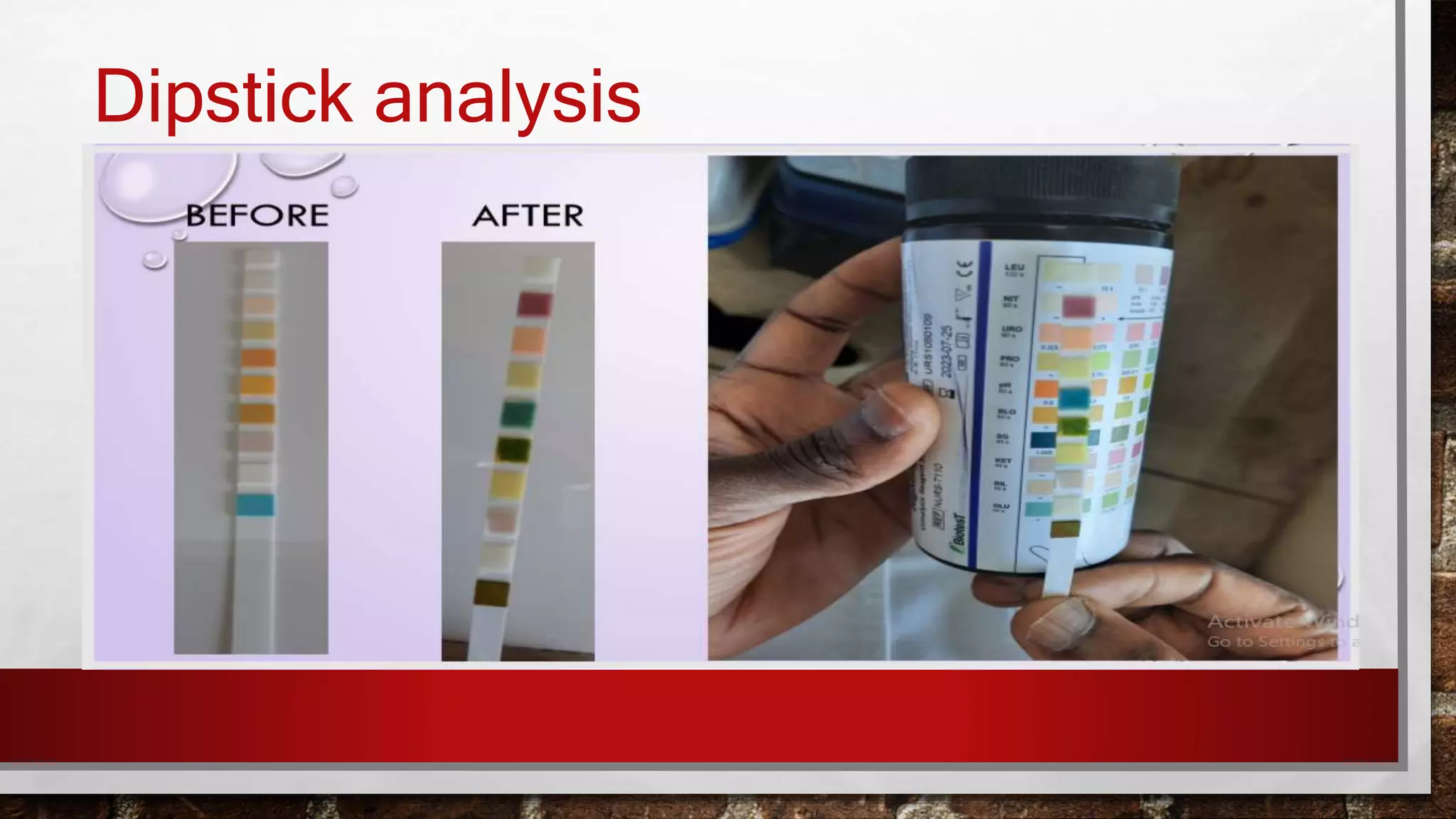 UNDERSTANDING URINALYSIS.pptx
