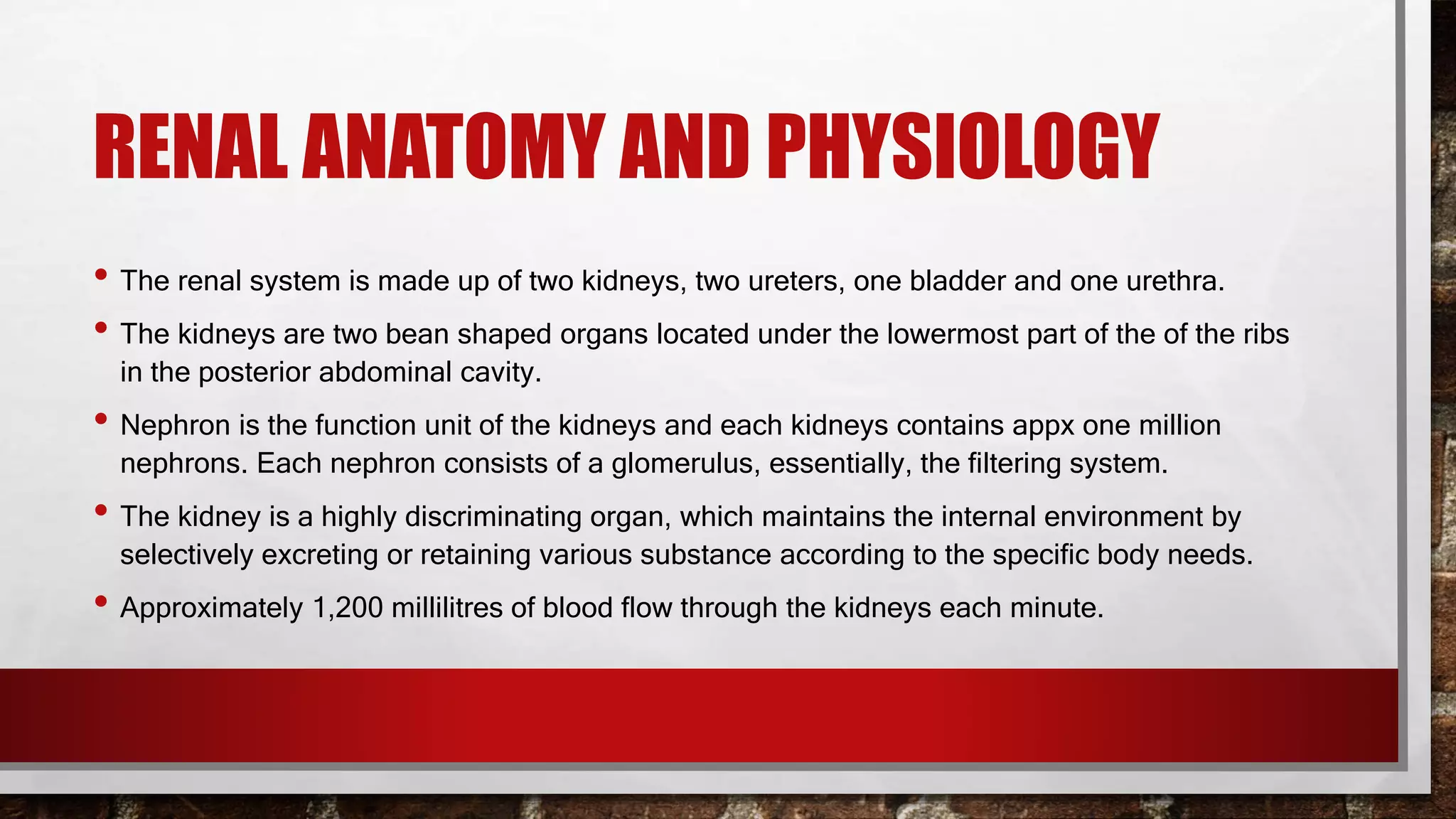 UNDERSTANDING URINALYSIS.pptx