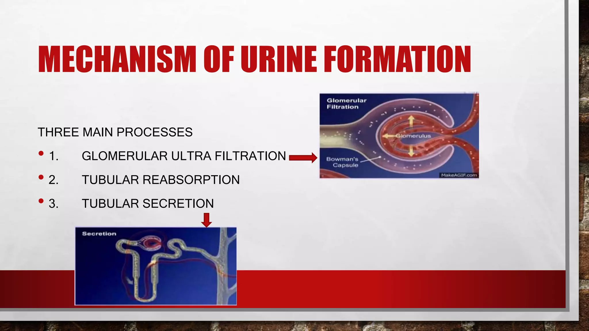UNDERSTANDING URINALYSIS.pptx