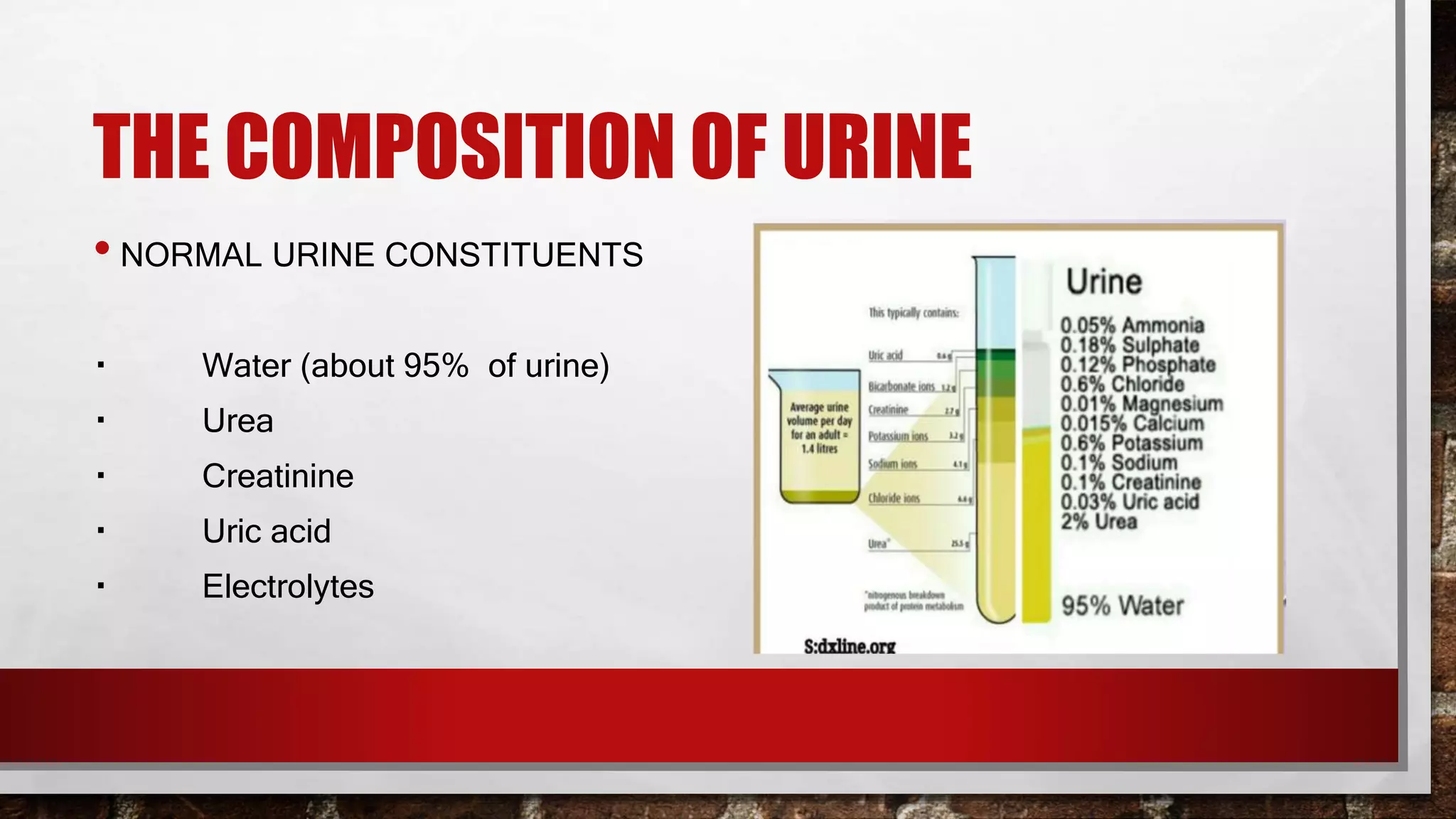 UNDERSTANDING URINALYSIS.pptx