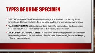 UNDERSTANDING URINALYSIS.pptx