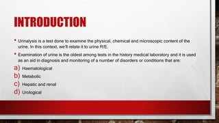 UNDERSTANDING URINALYSIS.pptx