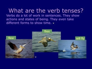 understanding verb tense (1).ppt