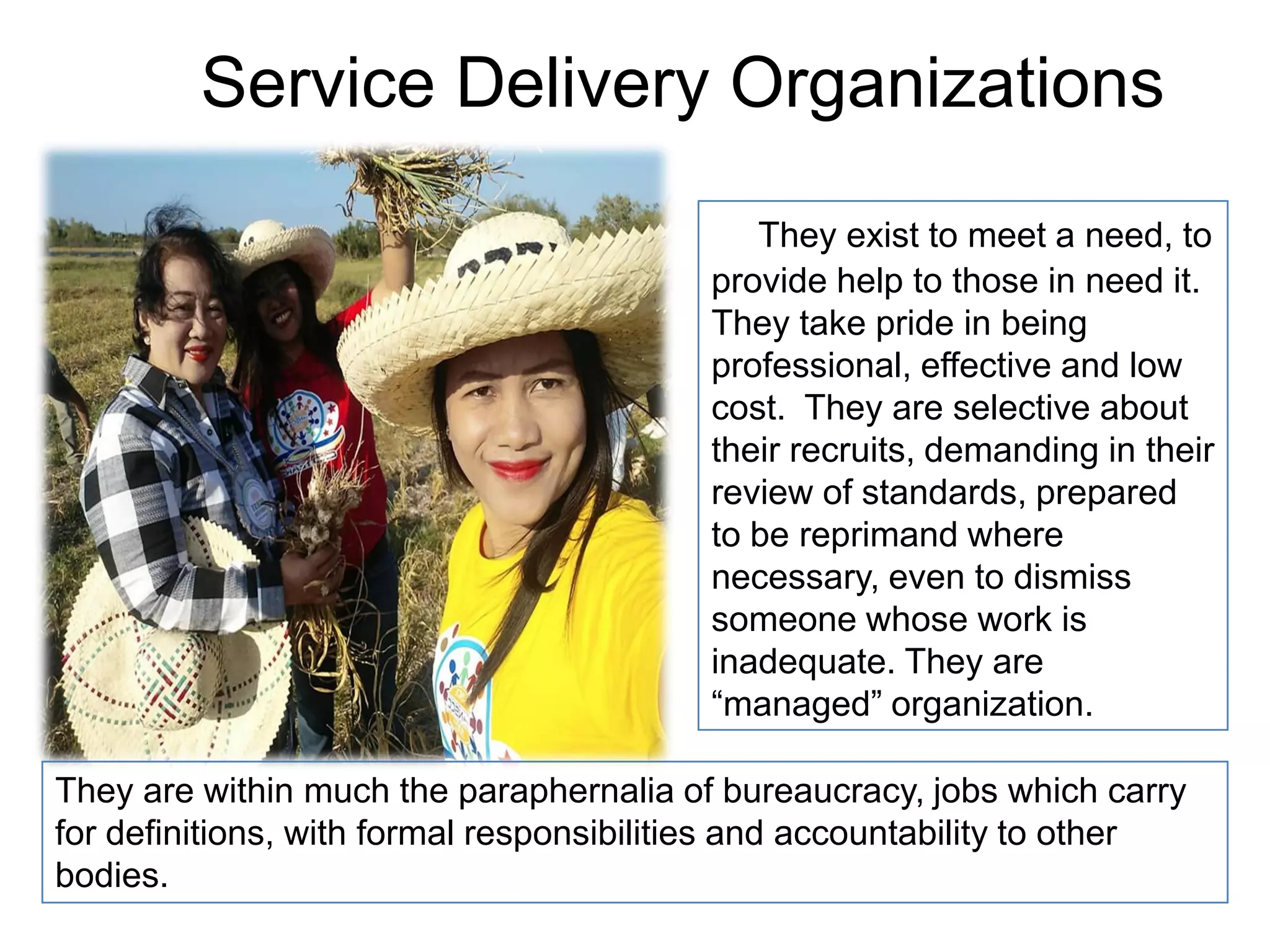 Understanding Voluntary Organizations | PDF