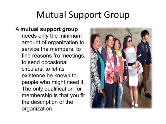 Understanding Voluntary Organizations | PDF | Career Advice | Careers