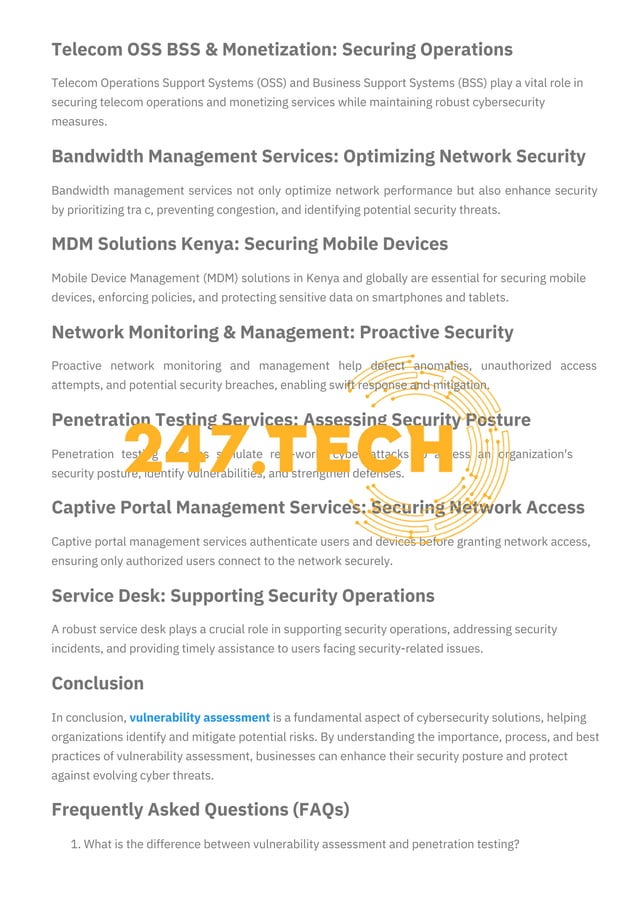 Understanding Vulnerability Assessment.pdf